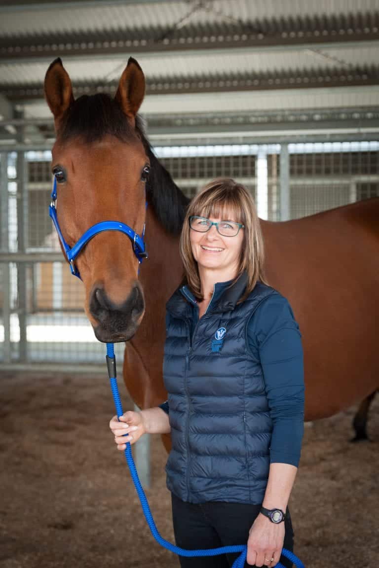 Meet the Team - Veterinary Associates Equine