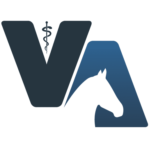 Equine Veterinarian Logo